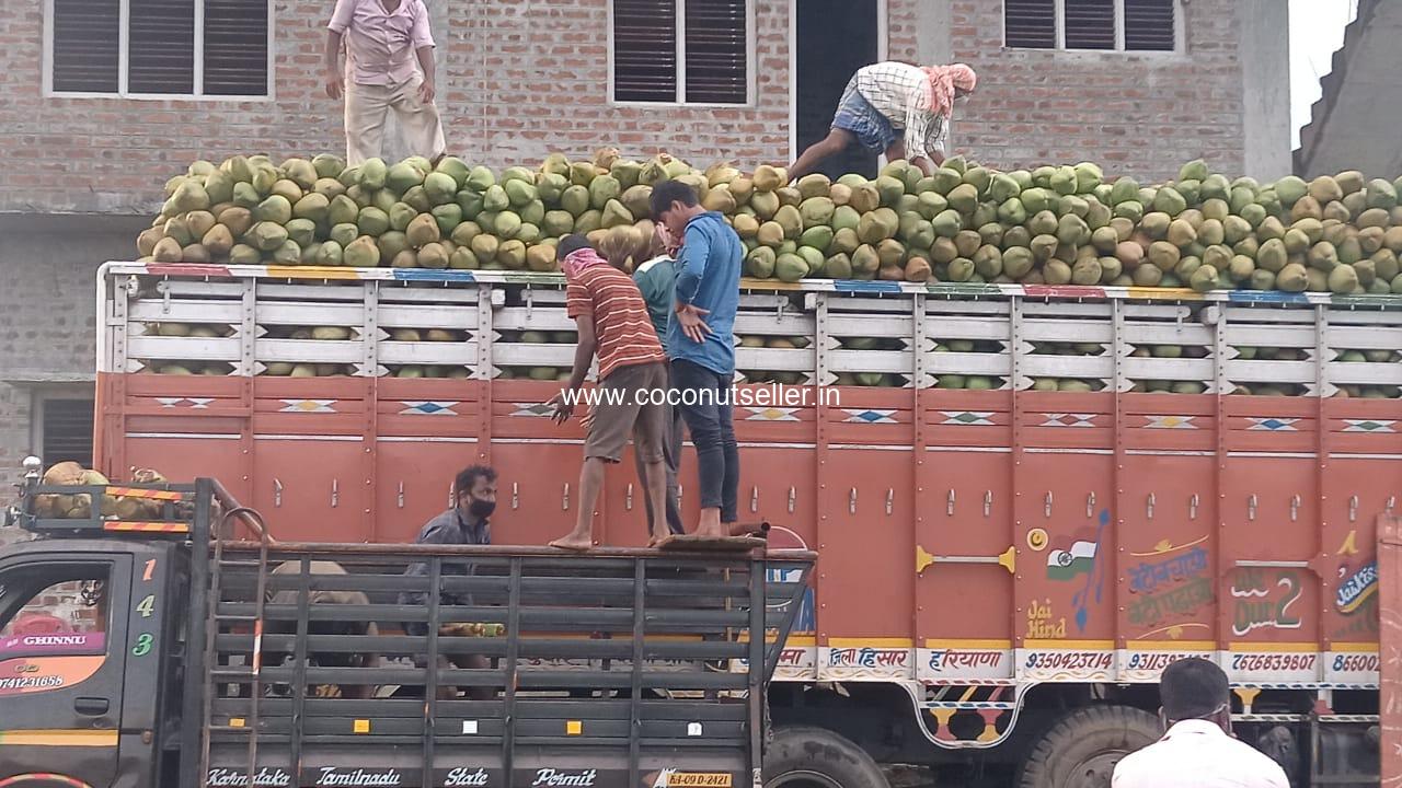 Transportation of the occonut to all over India - Coconut Seller India