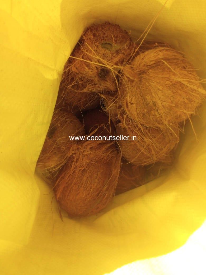 Fresh Coconut Export to Shuwaikh Port Kuwait - Coconut Seller India