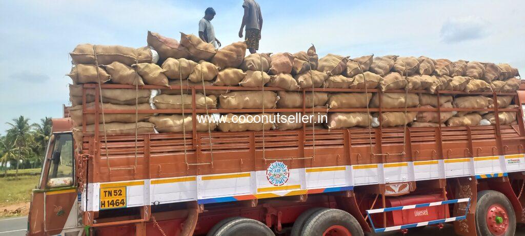 Jute Gunny Bag Packing - Coconut Seller India