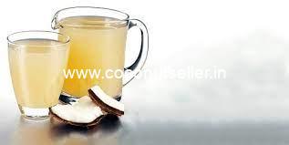 FROZEN COCONUT WATER CONCENTRATE BULK - Coconut Seller India