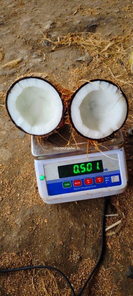 Fresh Coconut Export to Jebel Ali port Dubai - Coconut Seller India