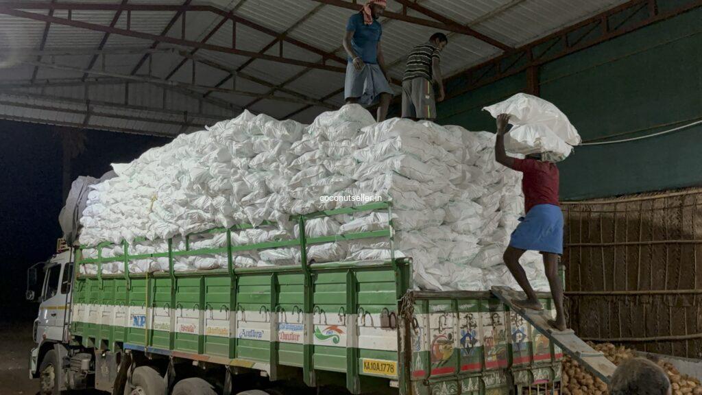 Coconut export pallet packing details - Coconut Seller India